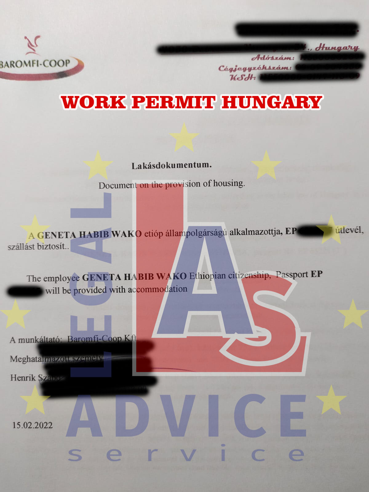 Work permits and visas — Legal Advice Service